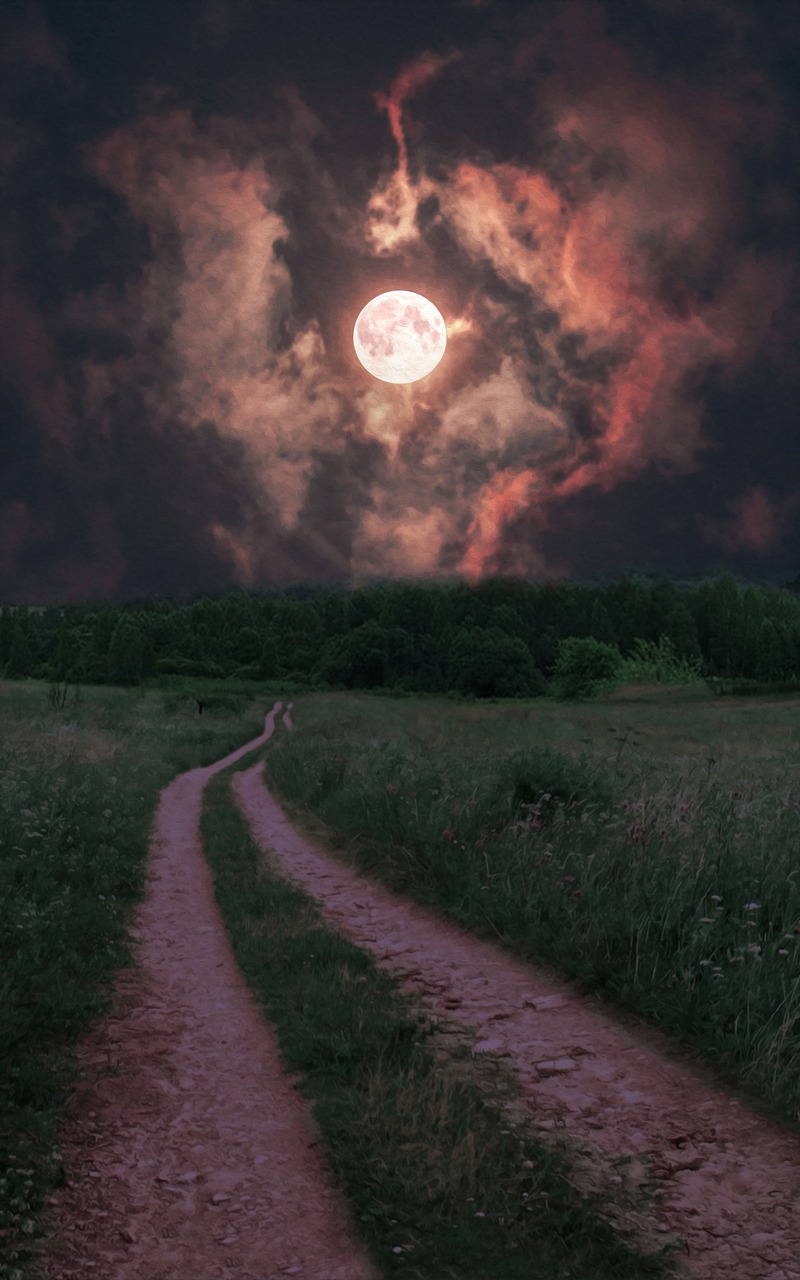 Sully The Author – Things that pop in my head